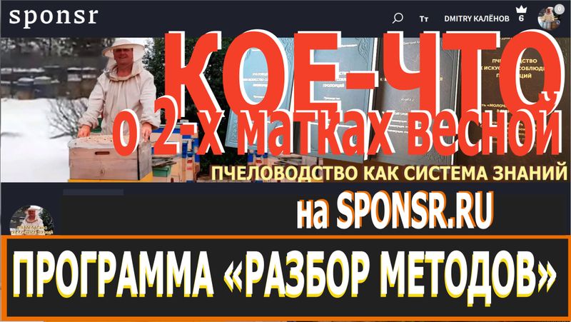 Пчеловодство | Sponsr