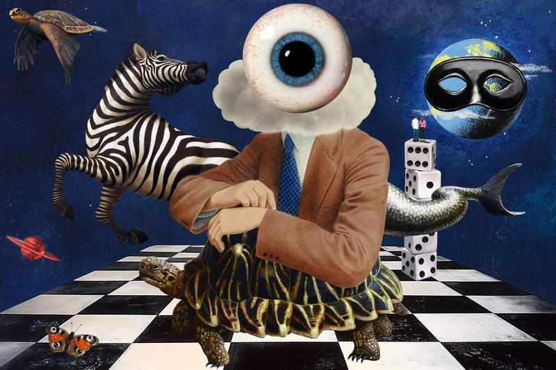 Аналитика | Sponsr